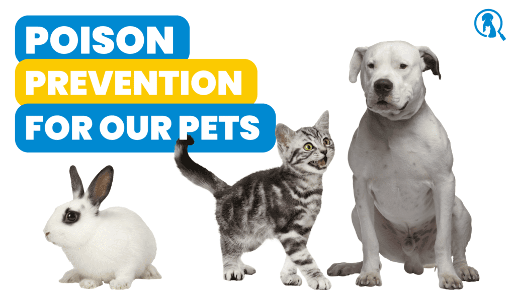 Poision Prevention for Our Pets