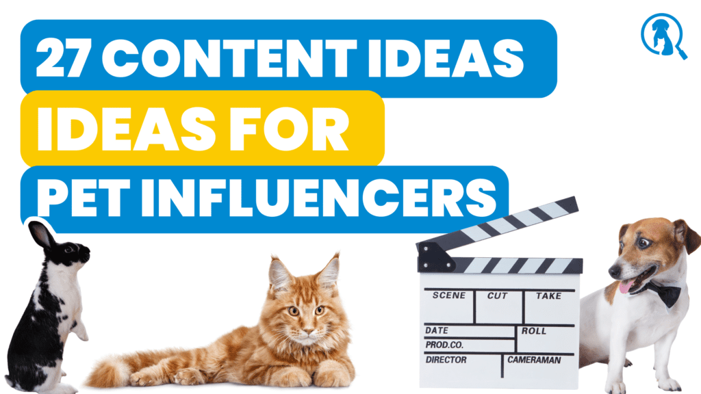 27 Content Ideas For A Pet Influencer