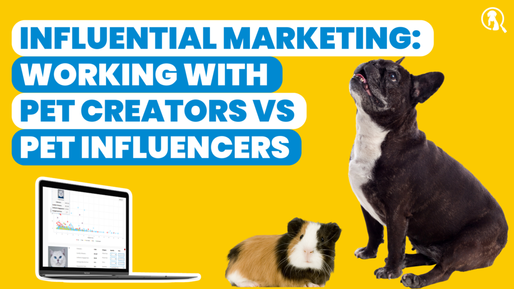 Pet Creators Vs. Influencers: Which Is Right For You?