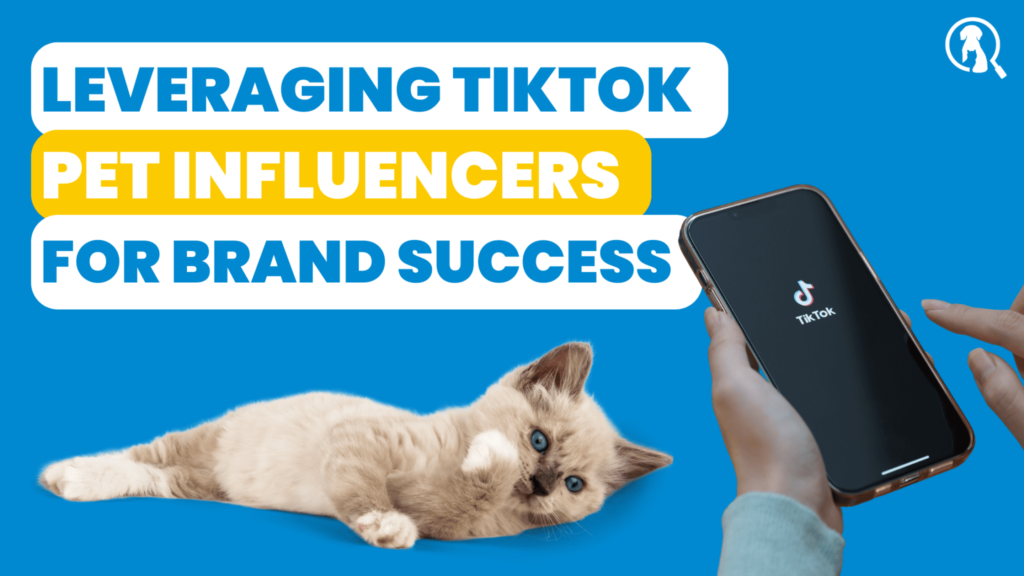 TikTok Pet Influencers: Tips For Brand Success