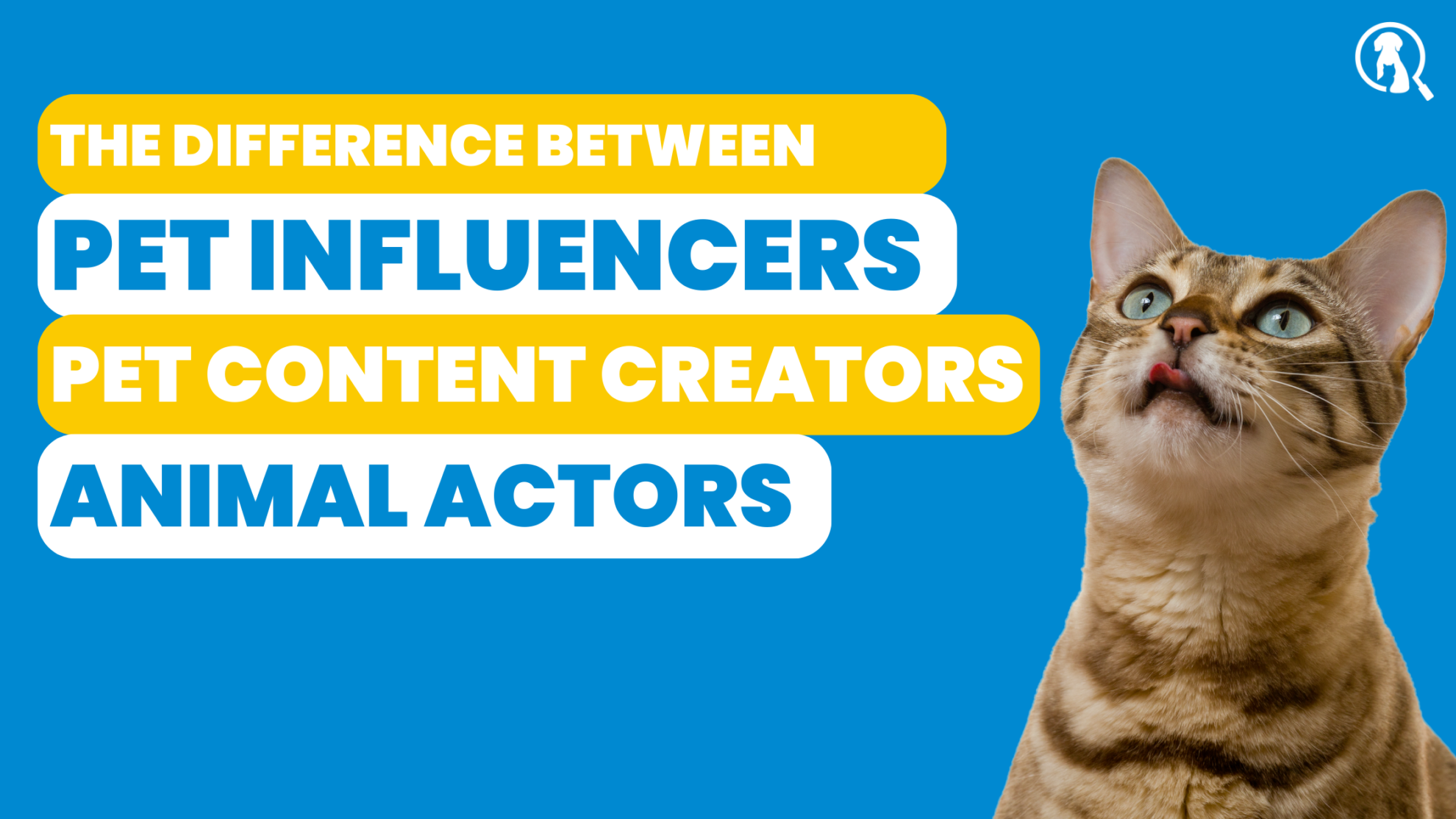 Pet Influencers VS. Pet Content Creators VS. Animal Actors
