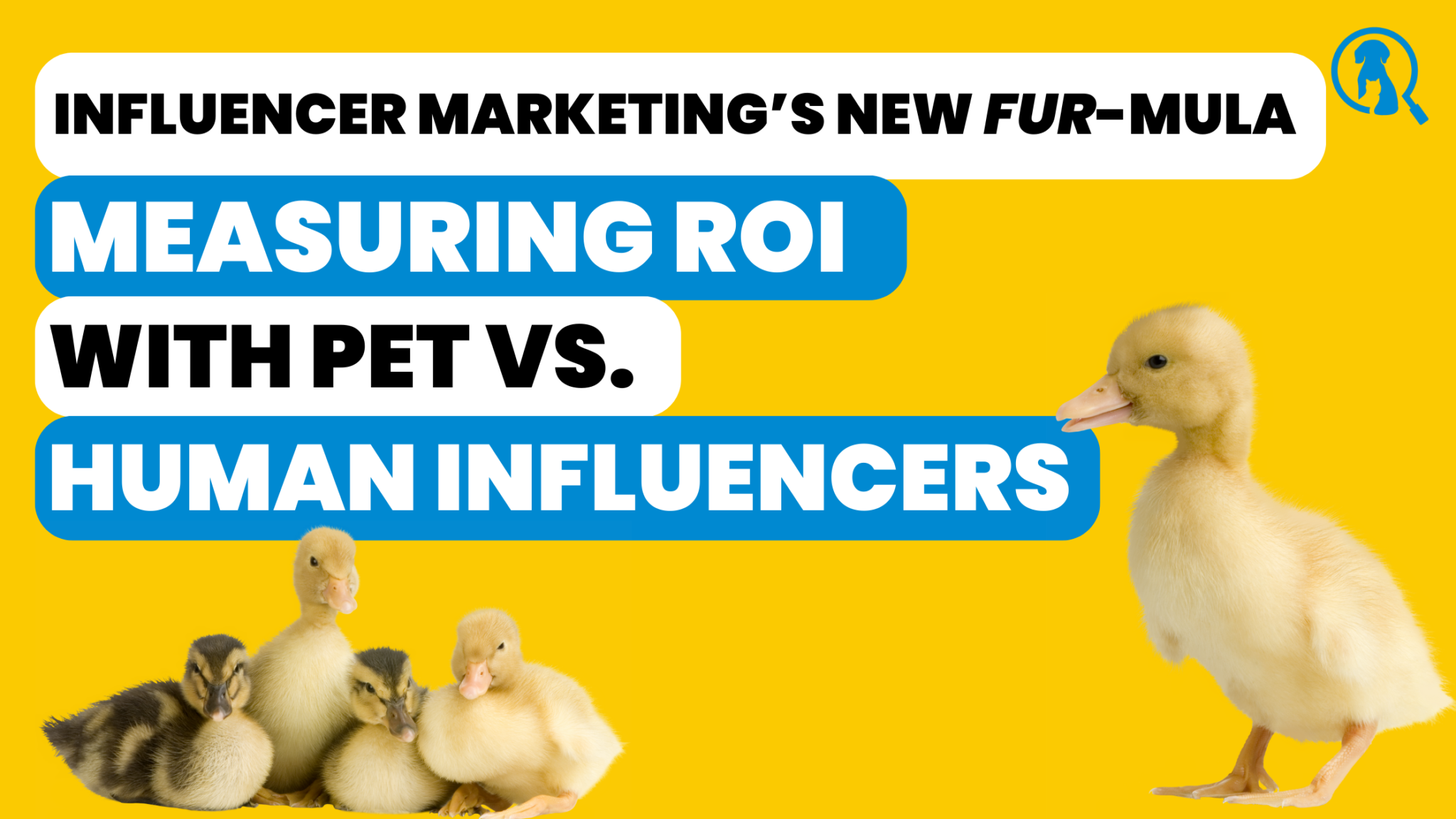 Pet Influencer Agency, Animal Talent Agency, Dog Casting