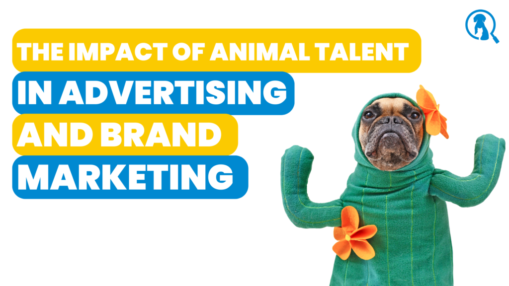 The Impact of Animal Talent in Advertising and Brand Marketing