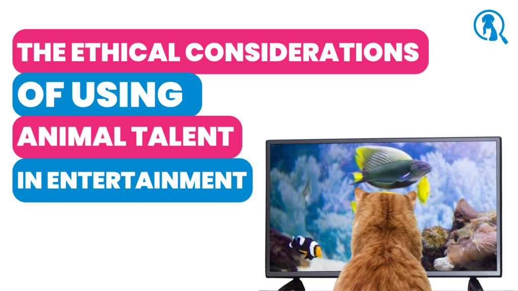 The Ethical Considerations of Using Animal Talent in Entertainment