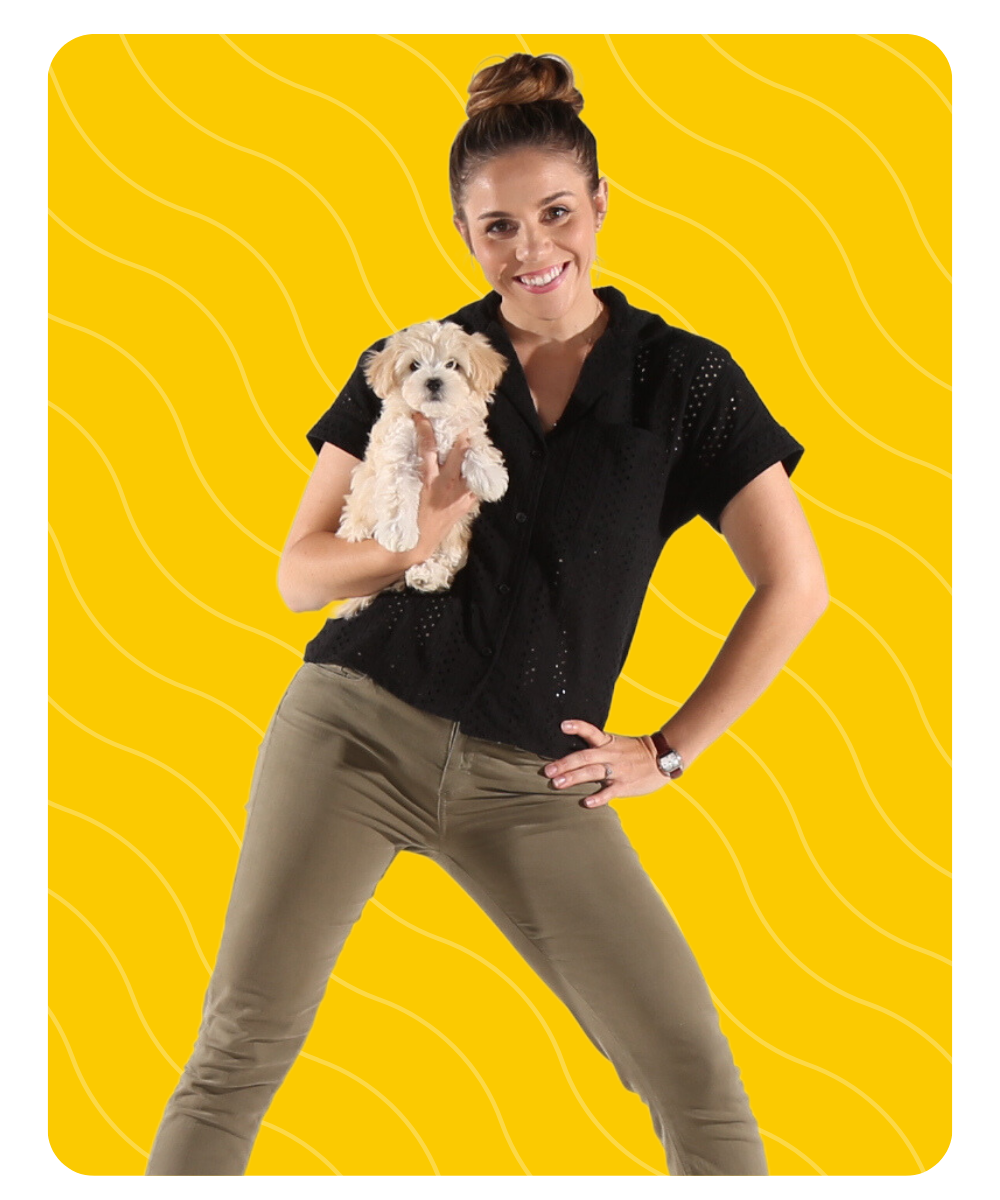 Know More About Us | Pets on Q