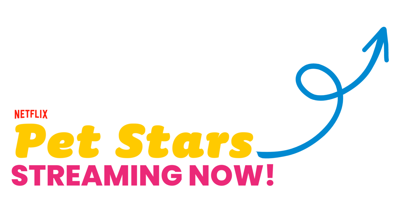 Know More About Us | Pets on Q