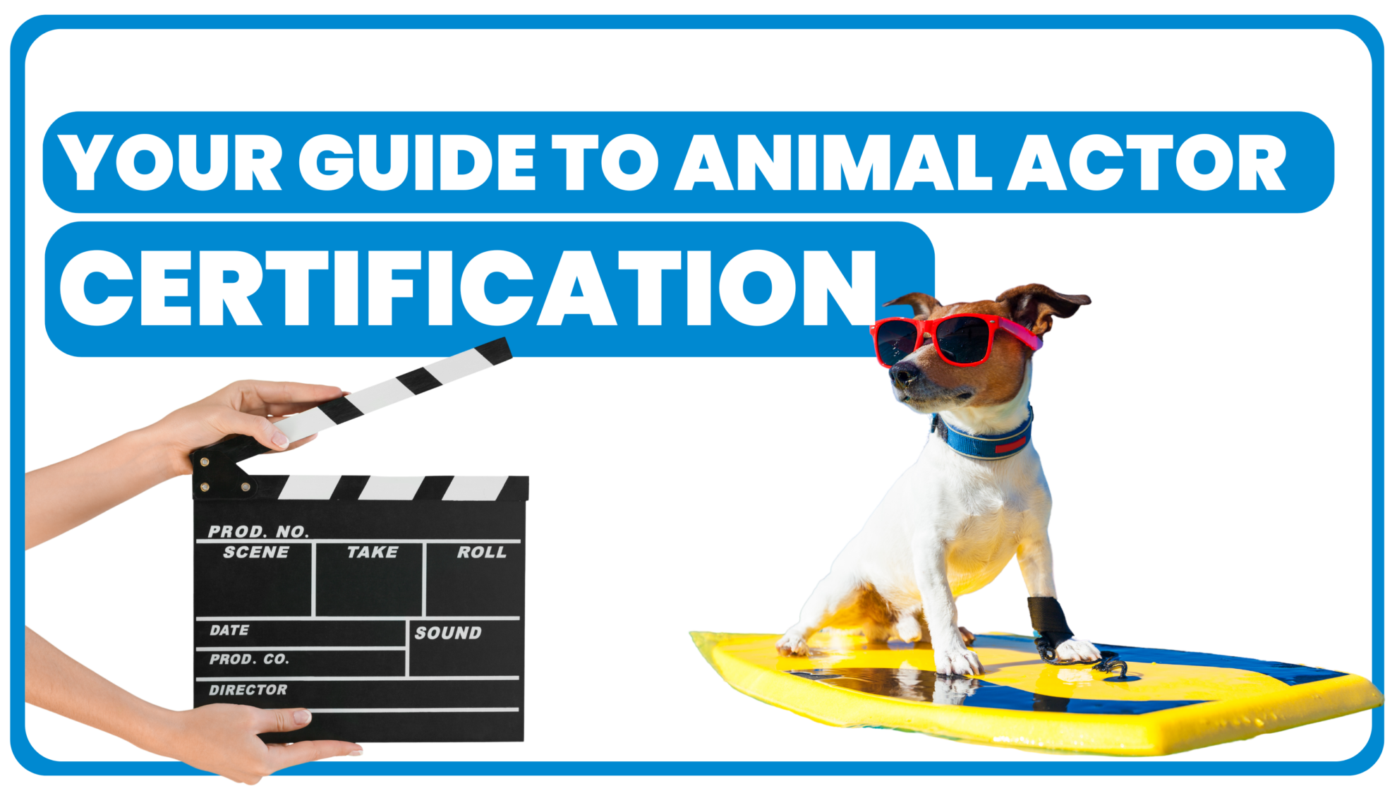 Your Guide to Animal Actor Certification