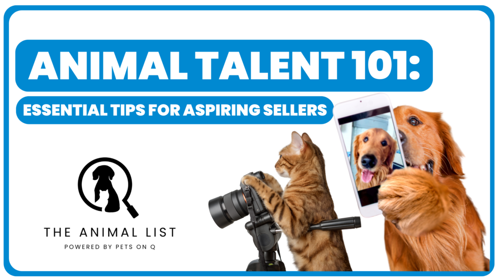 Animal Talent 101: Essential Tips for Aspiring Sellers