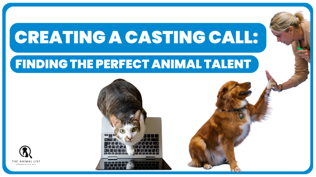 Creating A Casting Call: Finding The Perfect Animal Talent