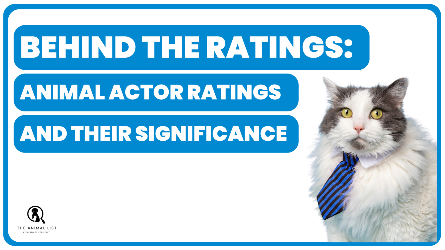 Pet Influencer Agency, Animal Talent Agency, Dog Casting