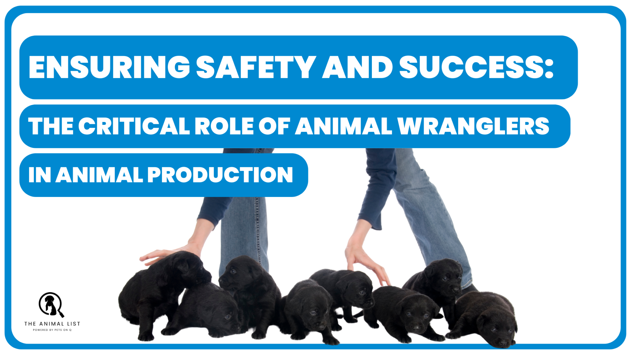 Pet Influencer Agency, Animal Talent Agency, Dog Casting