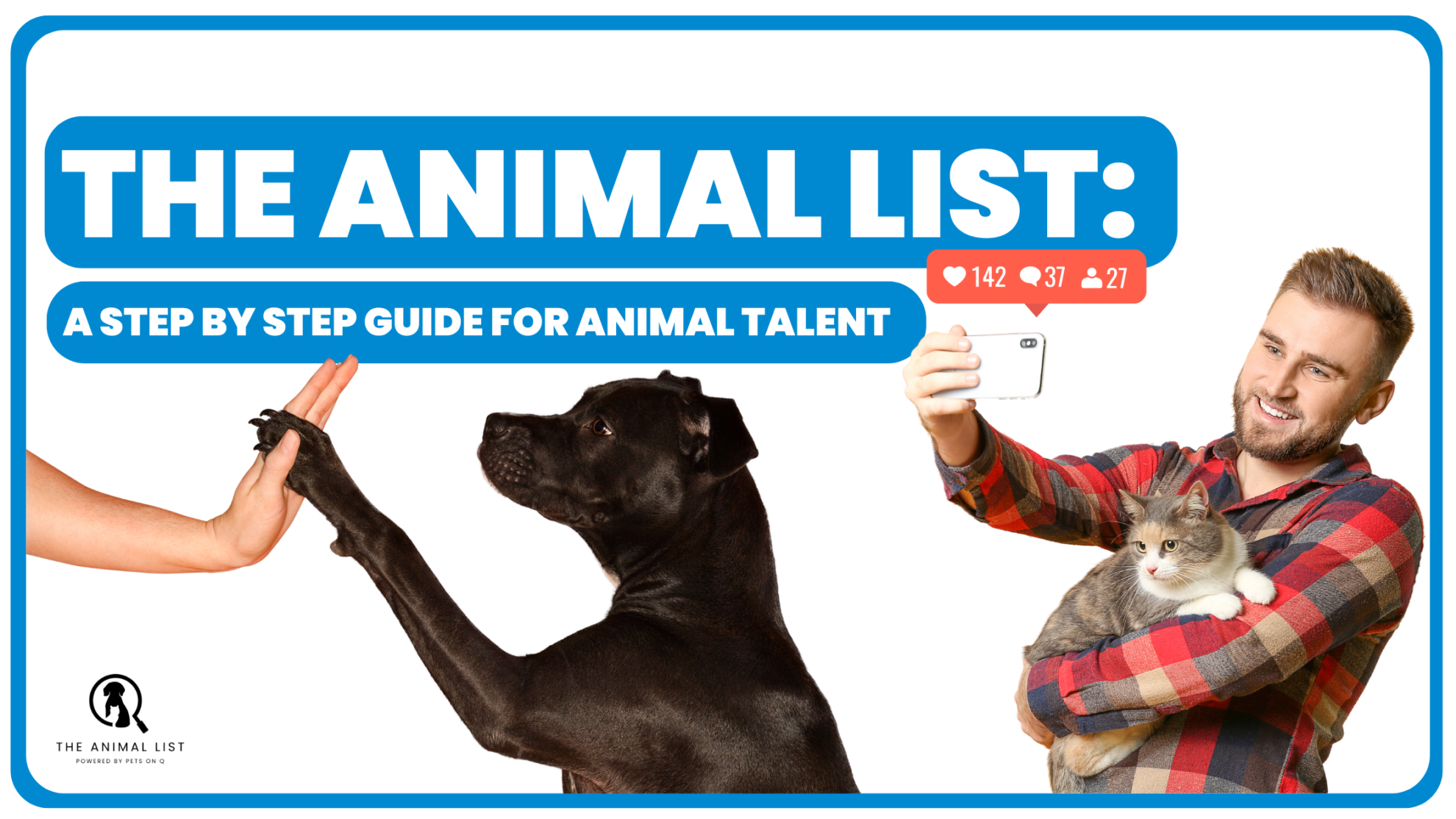 Pet Influencer Agency, Animal Talent Agency, Dog Casting