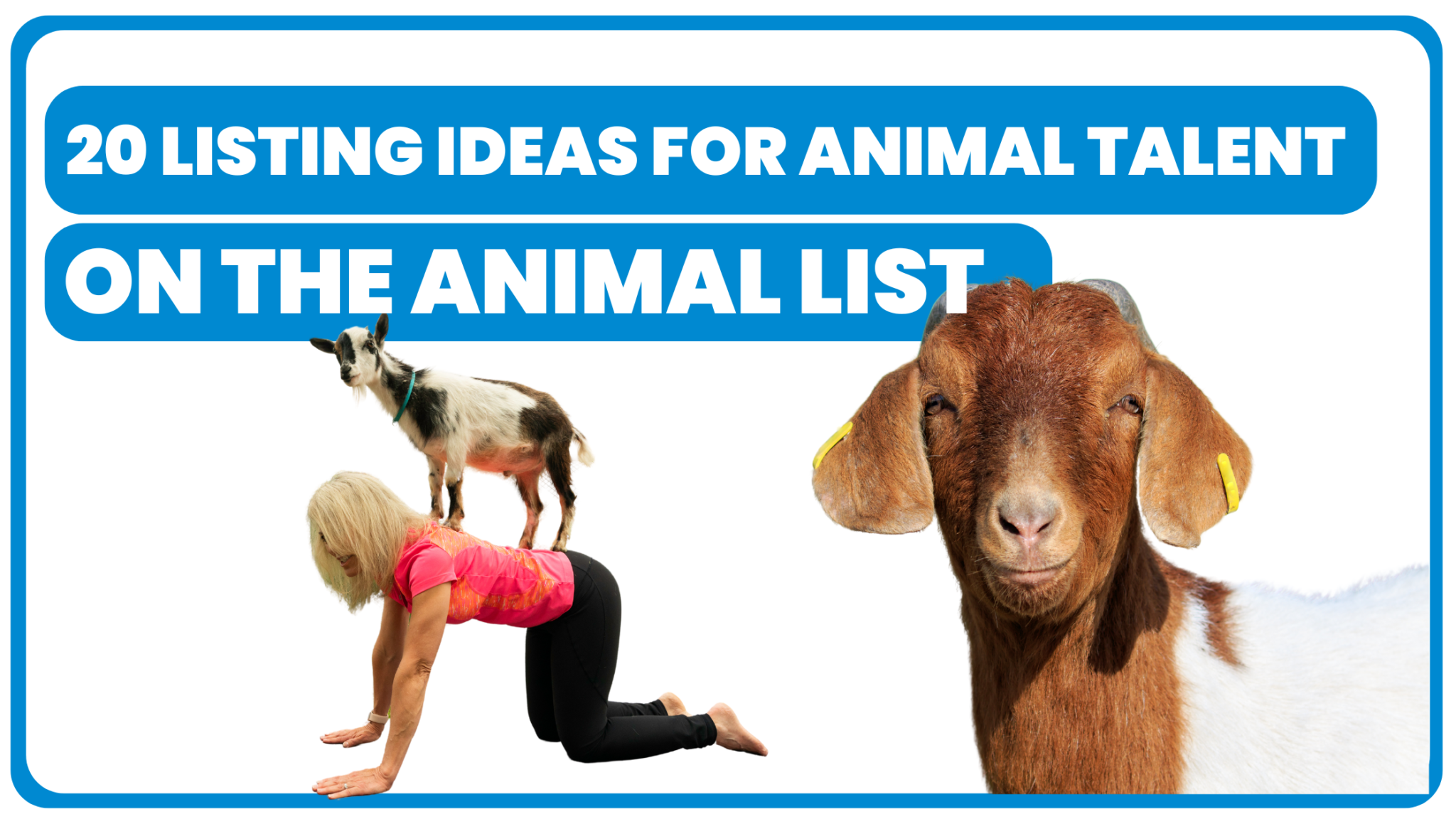 20 Creative Listing Ideas for Animal Talent on The Animal List