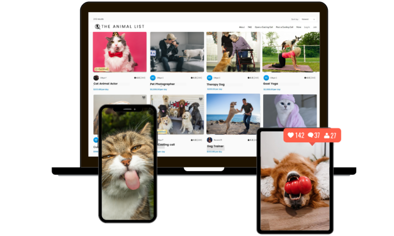 Pet Influencer Agency, Animal Talent Agency, Dog Casting