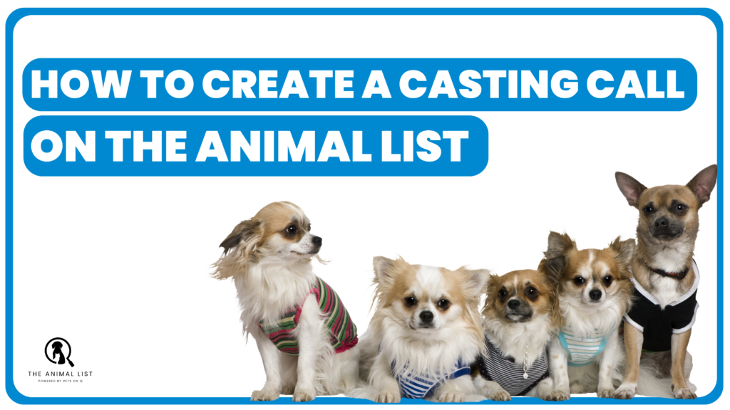 How to Create a Casting Call for Animal Talent on The Animal List