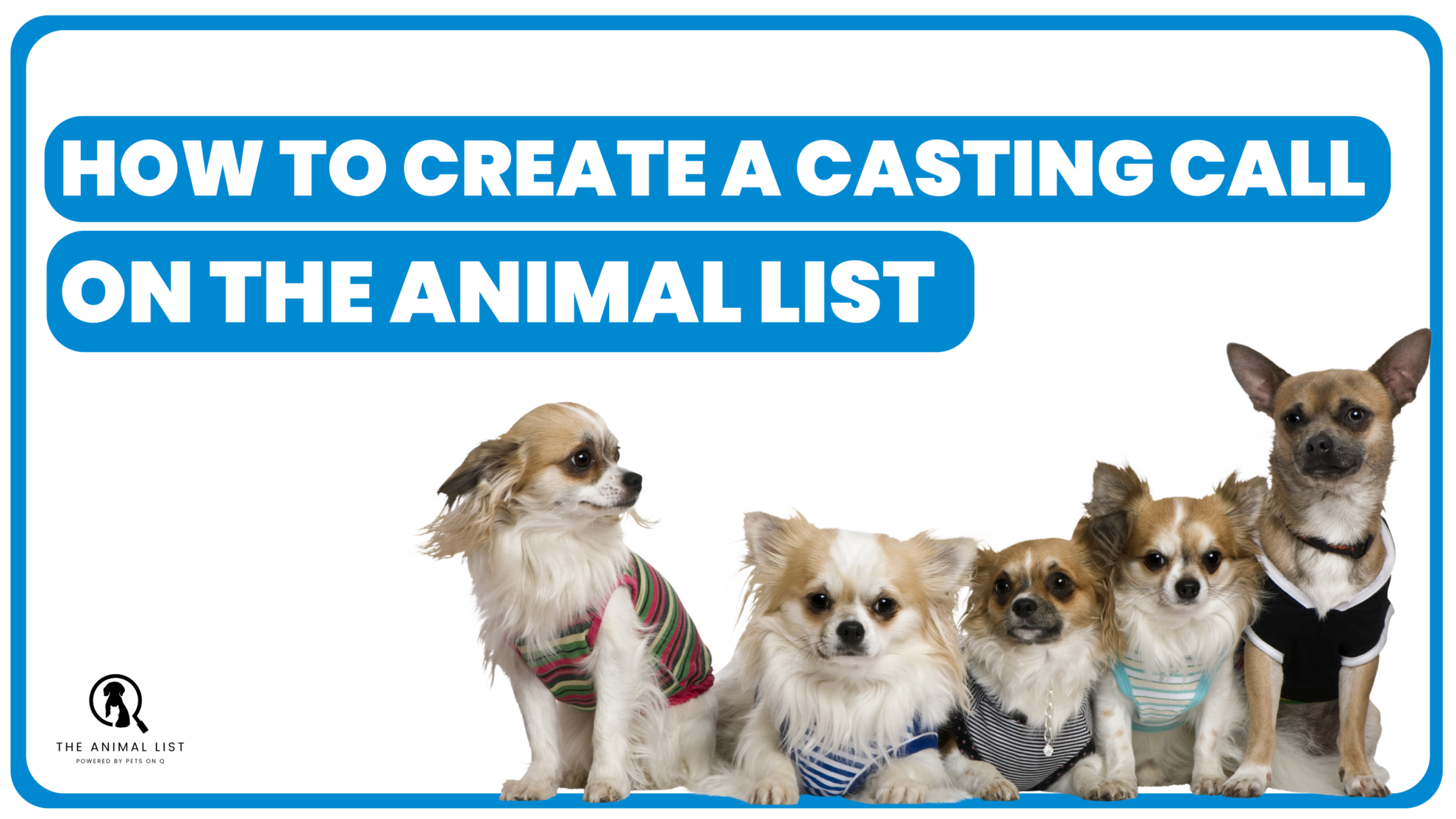 How to Create a Casting Call for Animal Talent on The Animal List