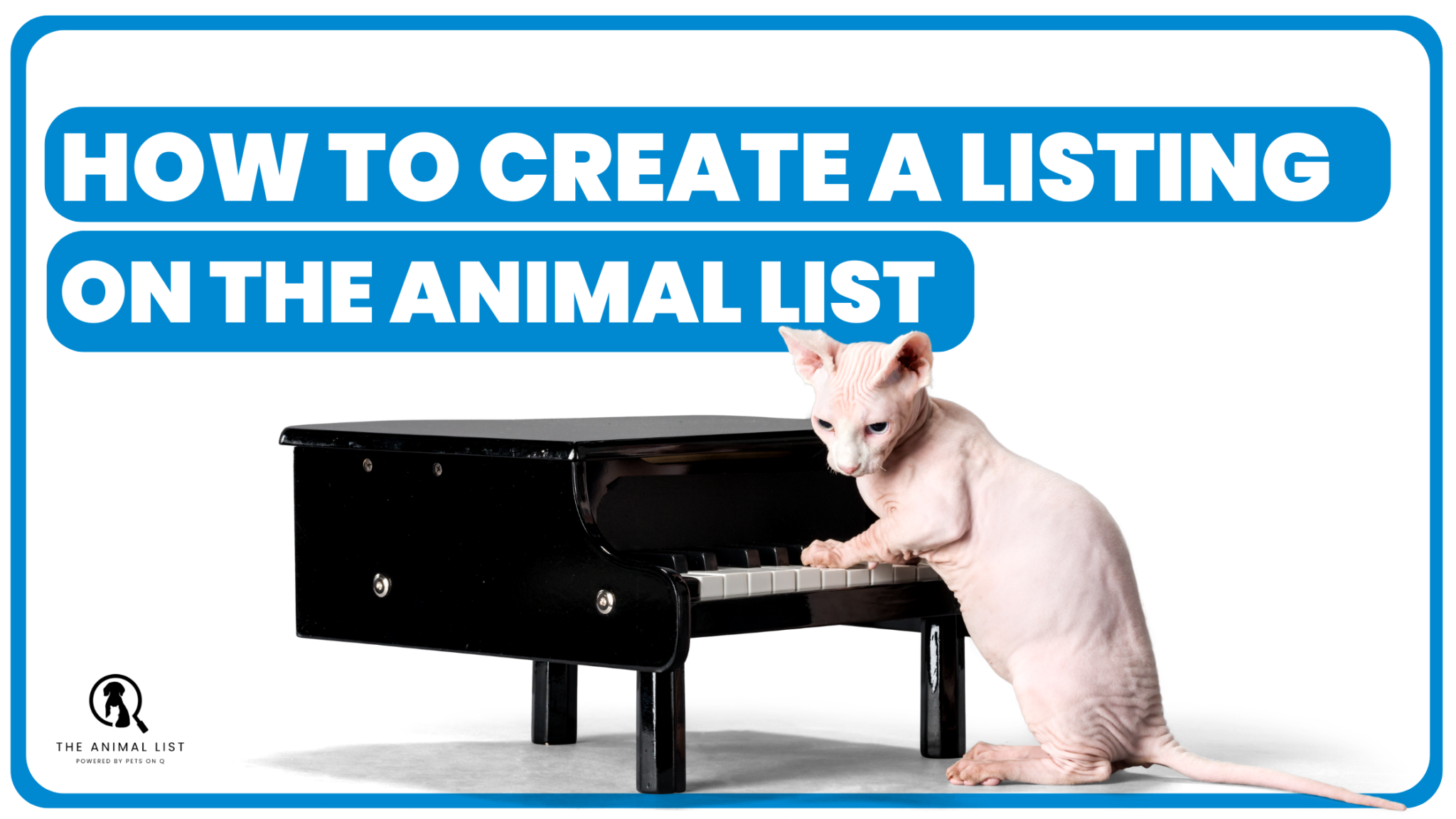 Pet Influencer Agency, Animal Talent Agency, Dog Casting