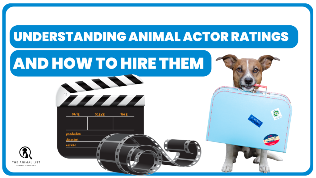 Pet Influencer Agency, Animal Talent Agency, Dog Casting